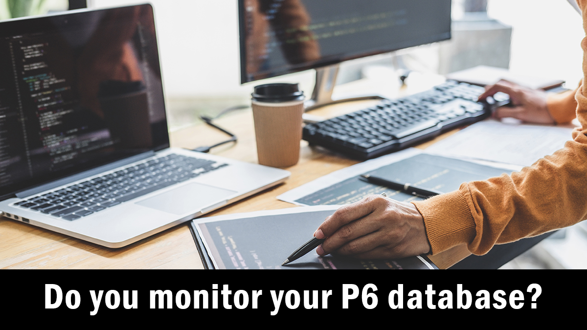 Improve the Performance of your P6 Database | CDP Inc. - Project ...