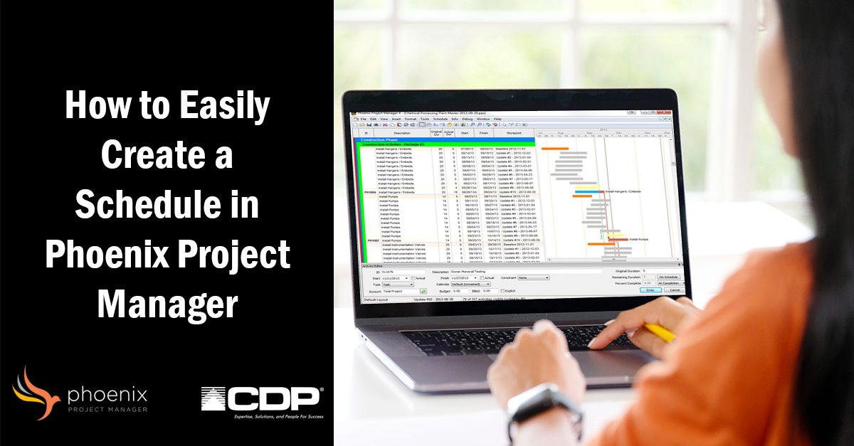 How to Easily Create a Schedule in Phoenix Project Manager Webinar ...