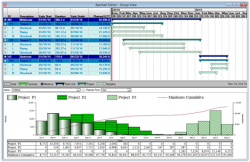 Safran Project | CDP Inc. - Project Management Solutions